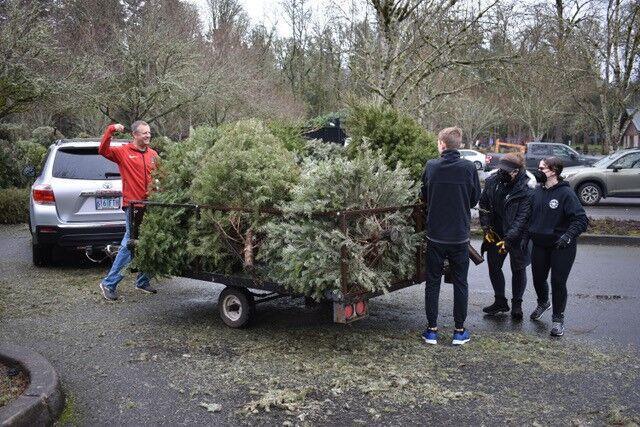Washington County Scouting America troops ready to recycle Christmas ...